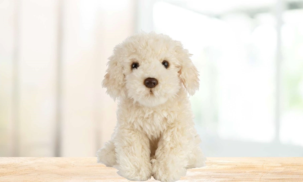 Jellycat Amore Dog | Review + 4 Alternatives 2024